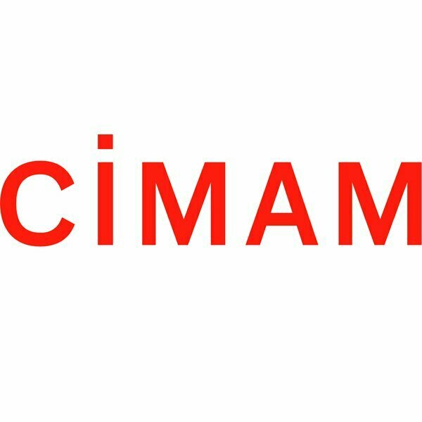 CIMAM global survey on the SDGs tackling Climate, Social and Economic ...