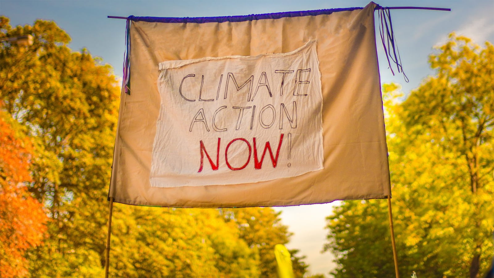 Majority say museums should take a stance on the climate crisis - ICOM UK