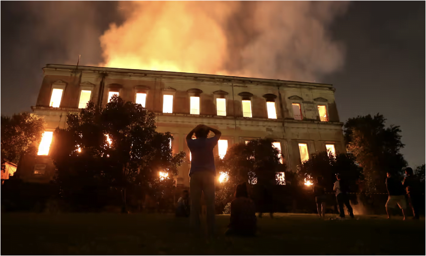Fire-ravaged Brazil museum receives big fossil donation - ICOM UK
