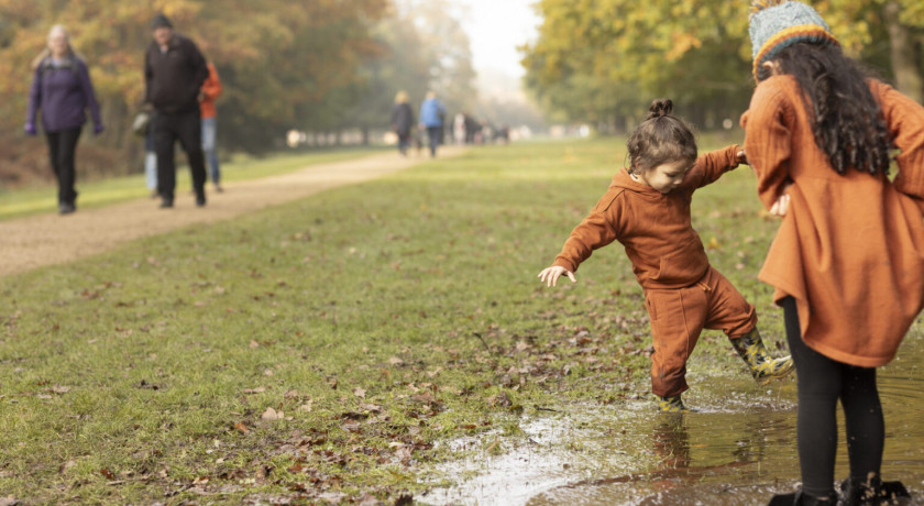 National Trust unveils 10-year strategy to ‘restore nature’ - ICOM UK