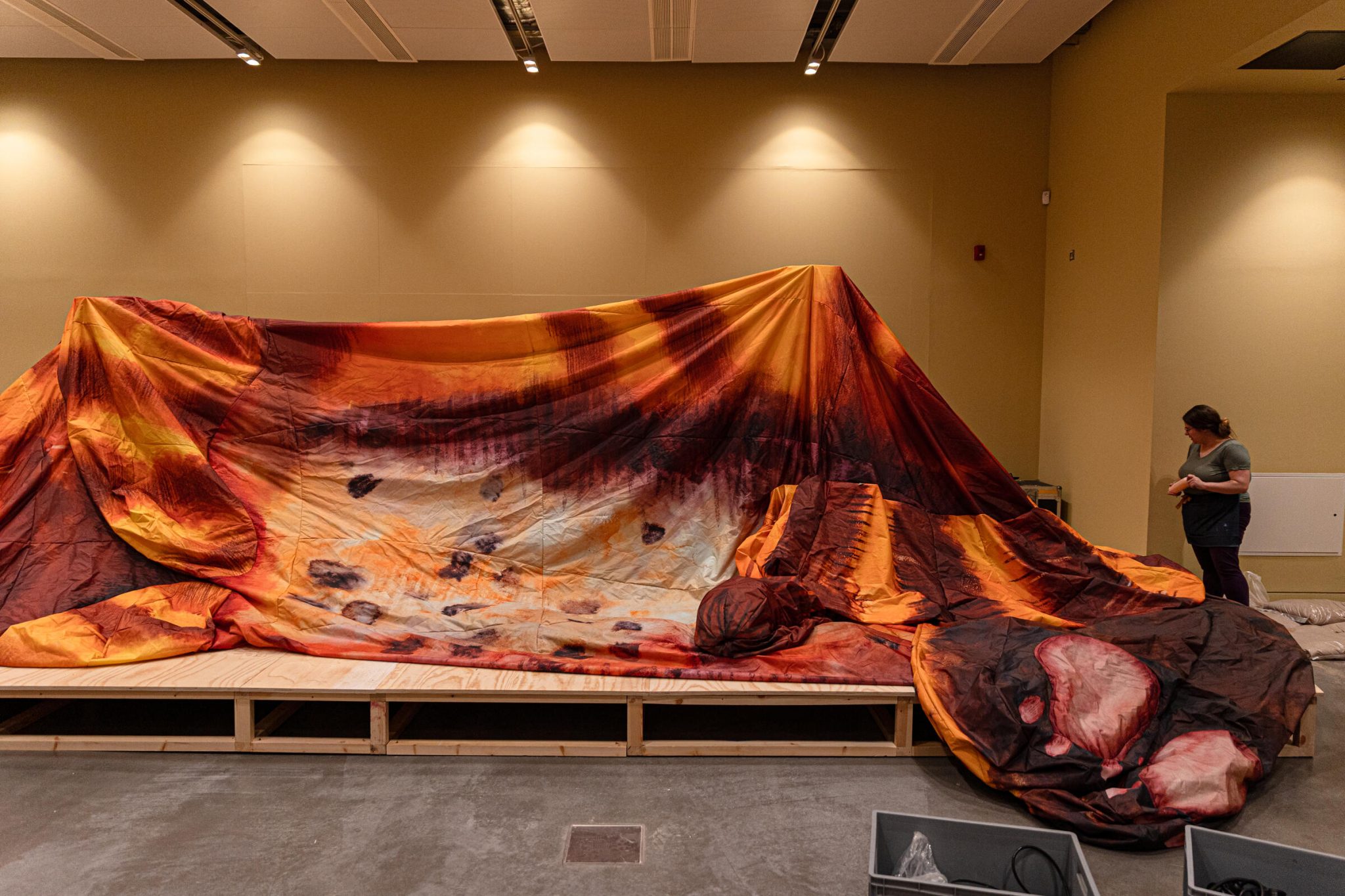 Manchester Museum- The Cat That Slept for a Thousand Years - ICOM UK